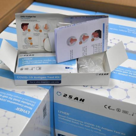 2SAN Lyher Covid Rapid Antigen Test 5-Pack – Vegan Tree Owl
